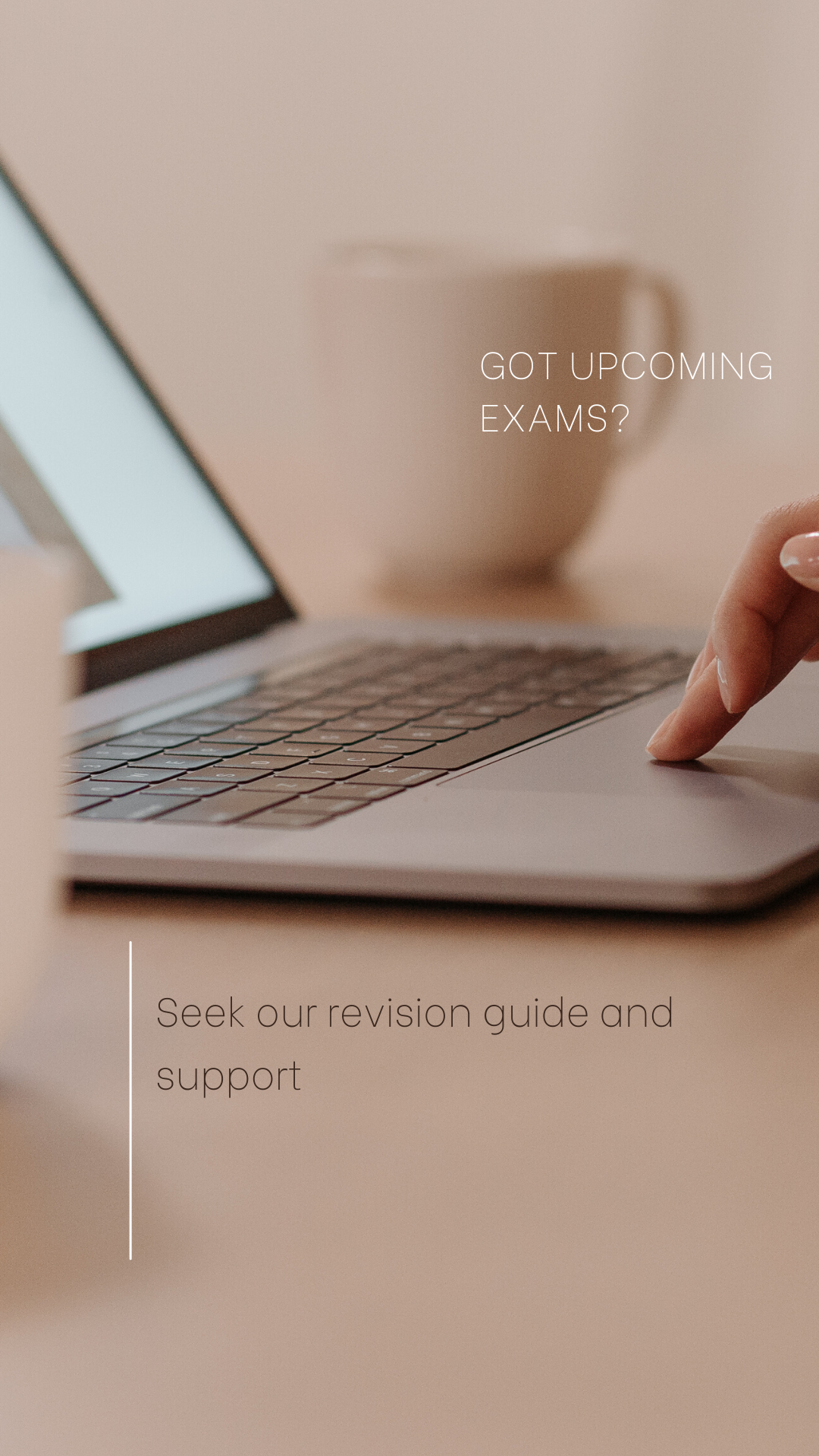 Reverse Outline Essay Example