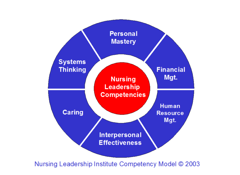 Leadership Competency-Nursing Paper Examples-1