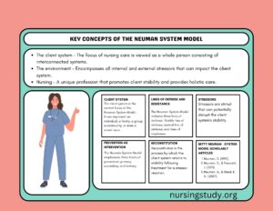 Betty Neuman's System Model Theory Explained