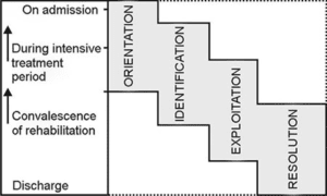 Hildegard Peplau's Theory Of Interpersonal Relations - Nursing Study