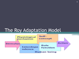 Roy's Adaptation Model - Exposition For Nursing Students
