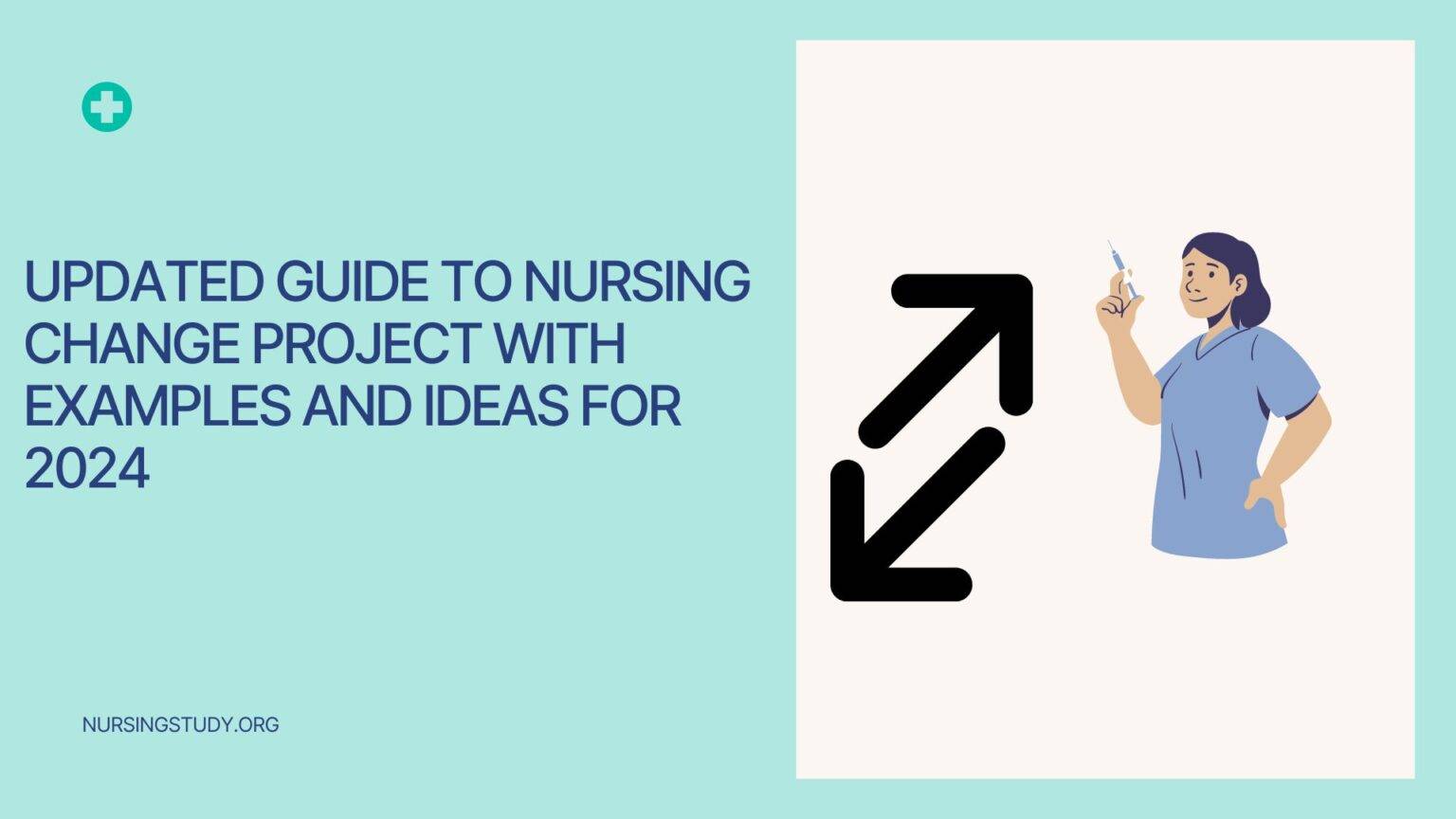 Guide To Nursing Change Project With Examples And Ideas