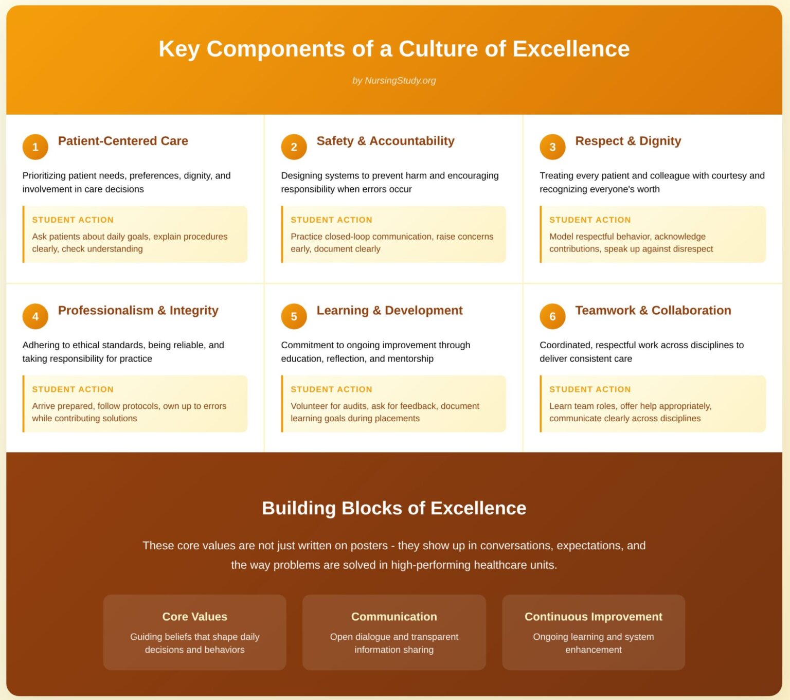 Culture Of Excellence In Healthcare: A Guide For Nursing Students On ...